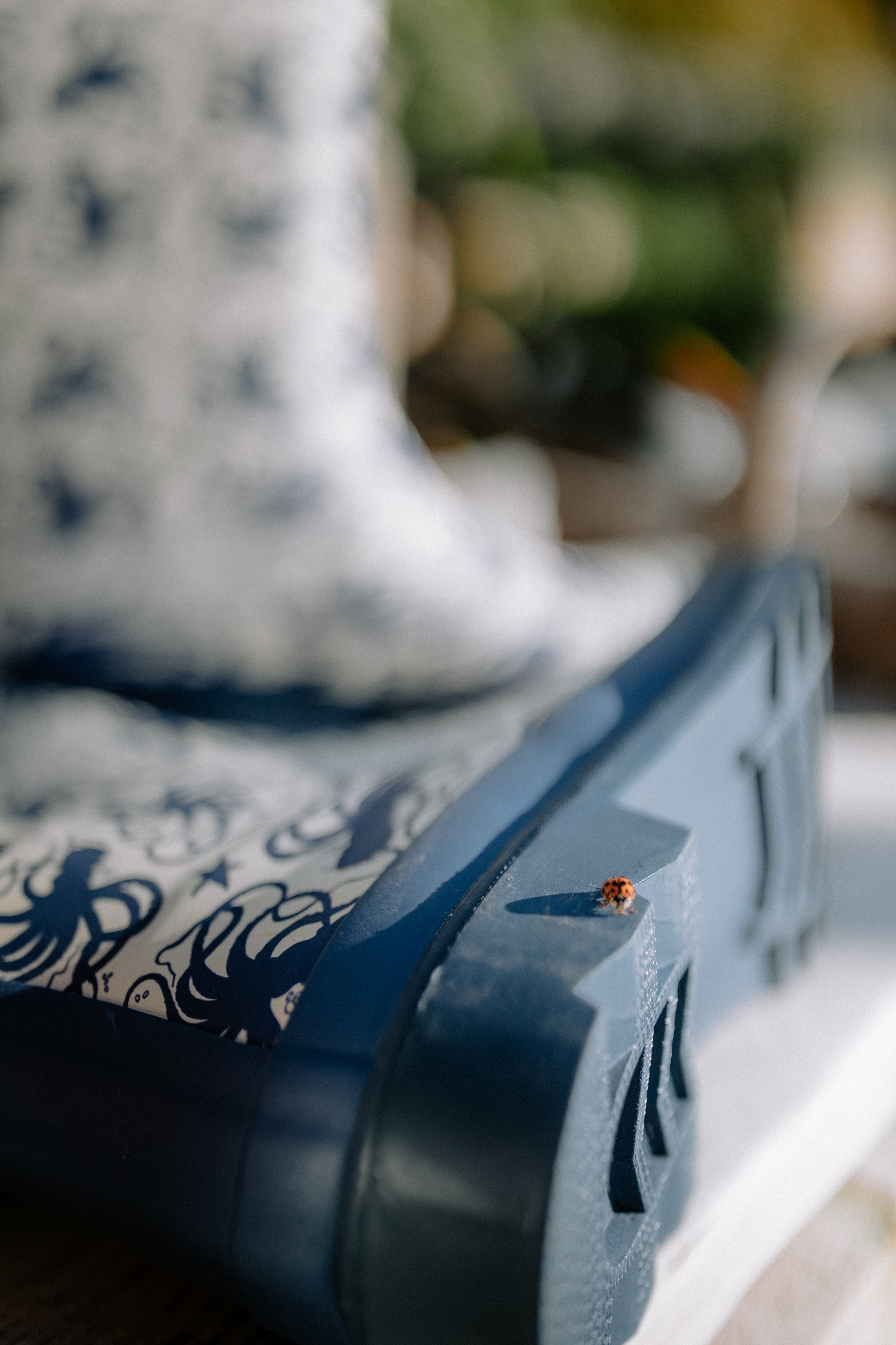 Collections – The Wide Welly Company